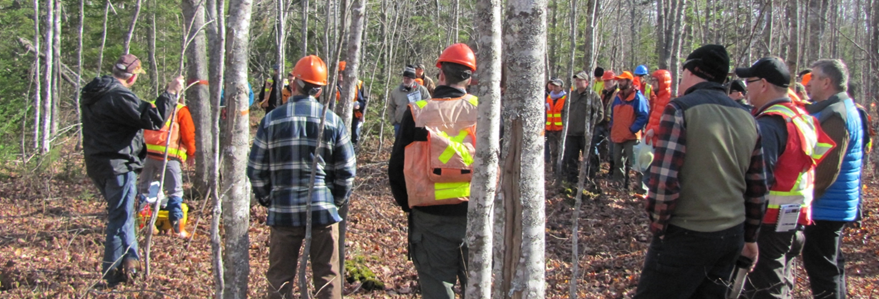 Forest Management Laboratory – University of New Brunswick